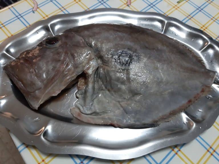 Gallo de San Pedro al horno 🐟 | Recetas y Poemas